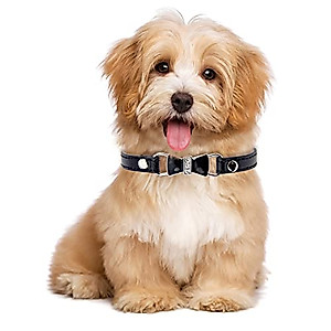 Personalized Dog Collars with Bling Rhinestone Pet Custom Padded Pu Leather Dog Collar for Small Size