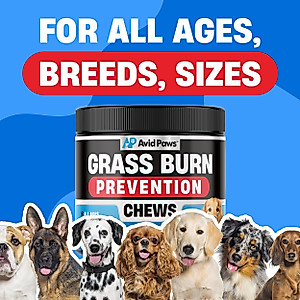 Dog Urine Neutralizer for Lawn - Green Grass Dog Chews Helps Lawn Burn from Dog Urine - Dog Pee Grass Neutralizer - Grass Savers for Dog Urine - Dog Rocks Alternative - Urinary Tract & Bladder Support