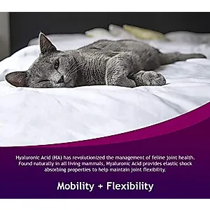 Cat Joint Supplement, Hyalogic Hyaluronic Acid Cat Supplements– 30-60 Day Supply, 1oz HA, Cartilage Supplement, Hip & Joint Supplement - Cat Health Supplies, W/ No Fuss Liquid Dropper