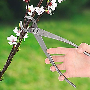 Professional Pruning Shears for Trimming Branches, Flowers, Fruit Trees and Bonsai - Lightweight Ergonomic Multifunction Carbon Steel Garden Branch Cutter Long Handle Scissor Shear Tool