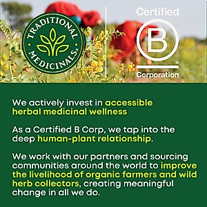 Traditional Medicinals Organic Lemon Balm Herbal Tea, Calming and Supports Digestion, (Pack of 2) - 16 Tea Bags