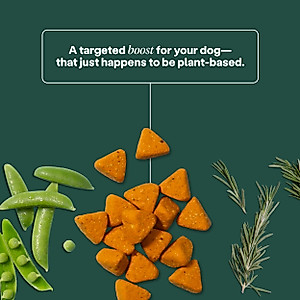 Wild Earth Dog Supplements, Soft Chews for Hip & Joint Support, with Omega 3 Fatty Acids & Anti-inflammatory Turmeric, Veterinarian-Developed, Vegan