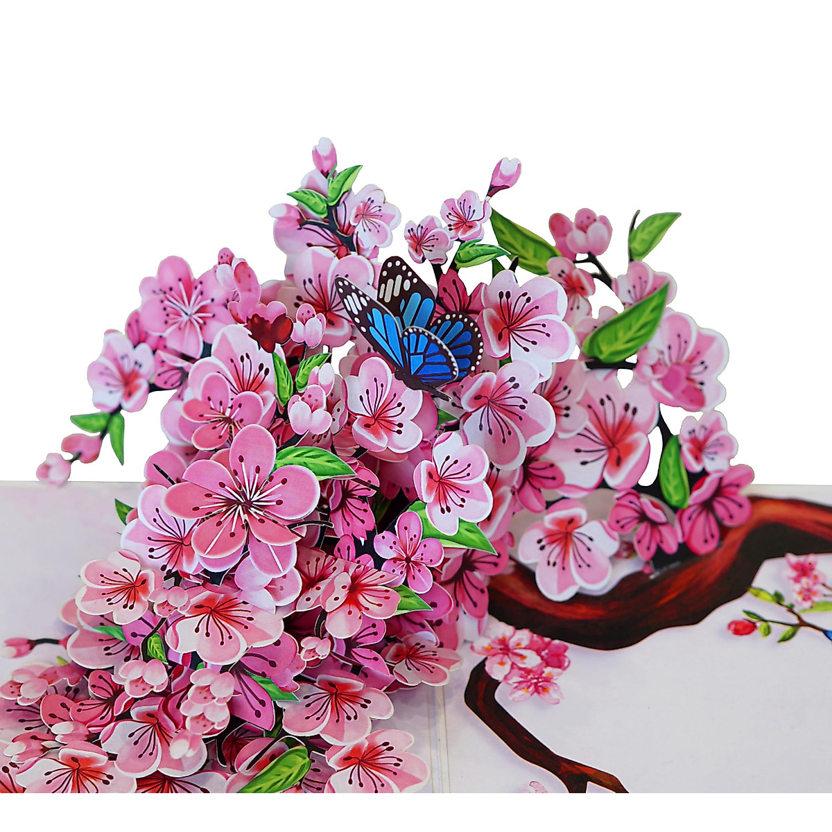 PQ Bees Pop Up Mothers Day Card for Women Mom Grandma Wife, 3D Birthday Anniversary Get Well Soon Thank You Valentines Day Card (Size 6x8 In – Butterflies Cherry Blossom).