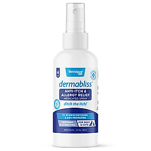 Vetnique Dermabliss Anti Itch Spray for Dogs & Cats with Hydrocortisone for Allergies and Immediate Dog Itching Skin Relief - Fragrance Free with Soothing Oat Extract (4oz Anti Itch Spray)