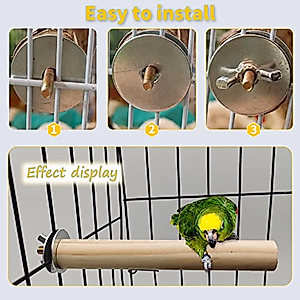 Hamiledyi Bird Perch Bird Stand Bird Cage Accessories Platform Natural Wood Perch Stick Playground for Small Medium Birds Cockatiel Parakeet Conure Cage Accessory (8 Pcs)