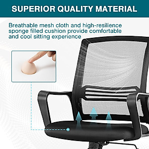 AFO Ergonomic Home Office Desk Chair with Comfortable Lumbar Support, Mid Back, Padded Seat and Armrest, Rocking Mode 360 Degree Swivel Rolling, Breathable Mesh, Adjustable Height, Black