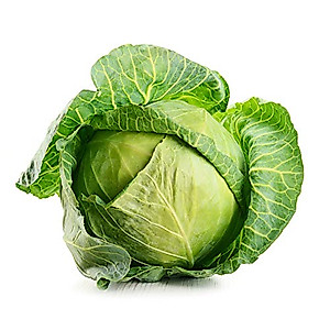Brunswick Cabbage Seeds for Planting, 300+ Heirloom Seeds Per Packet, (Isla's Garden Seeds), Non GMO Seeds, Botanical Name: Brassica oleracea, Great Home Garden Gift