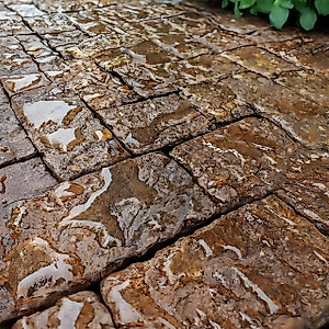 Armor SX5000 WB DOT-Approved Deep Penetrating Water-Based Silane Siloxane 5 Gallon Concrete Sealer - Professional Grade Long Lasting Natural Sealer for Concrete, Brick, Pavers, Stone, and Masonry