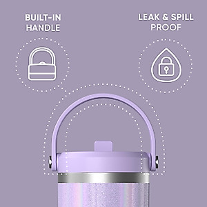 Hydrapeak Nomad 32 oz Tumbler with Handle and Straw Lid, Leakproof Tumbler, Tumbler Lid Straw, Double Insulated Tumblers, 32oz Double Insulated Cup Straw, Stainless Steel (Enchanted Lavender)