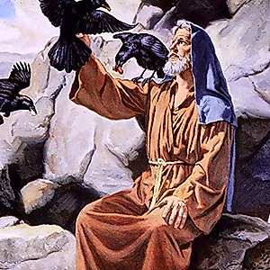 Light Seer's Oracle Tarot Cards with PDF Instructions, Family Travel Board Deck Games Guidance Divination Fate Playing 78 Cards