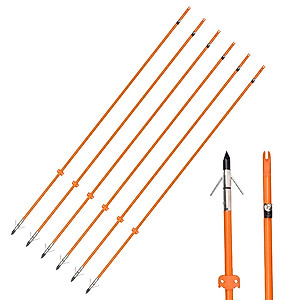 ELONG Bow Fishing 32 Inch 5/16" Hunting Arrows Archery Fiberglass Arrows with Safety Slides Broadheads (Pack of 6)