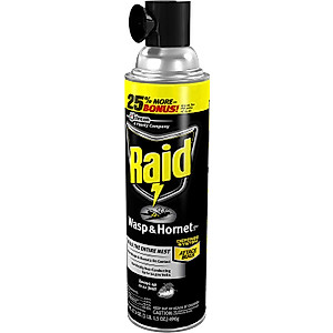 Raid Wasp and Hornet Killer, 17.5 OZ (Pack of 3)
