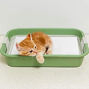 POPETPOP Cat Litter Box Liners 100pcs Disposable Bird Cage Liners Papers Non-Woven Absorbent Parrot Cages Cushion Pad Mat Accessories (White) Bird Paper Pad