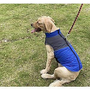 Fleece Lining Warm Dog Coats Padded Vest with D Ring Waterproof Reflective Puppy Jacket for Small Medium Large Dog Winter Coat Clothes Zip Up Apparel for Cold Weather (XL, Blue)