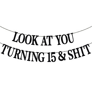 Happy 15th Birthday Banner, Cheers to 15 Years, Level 15, Teen Boys Girls Funny 15th Birthday Party Decorations Backdrop Gifts, Black Glitter