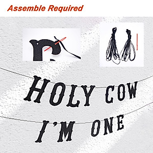 Holy Cow I'm One Banner Farm Themed 1st Birthday Party Decoration for Western Cowboy and Cowgirl First Rodeo Birthday Decorations