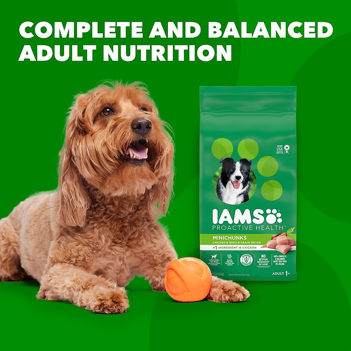 IAMS Adult Minichunks Small Kibble High Protein Dry Dog Food with Real Chicken, 15 lb. Bag