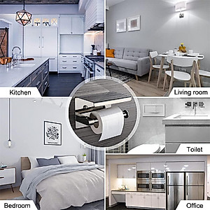 RUNAAJA Stainless Steel Toilet Paper Roll Toilet Paper Holder with Phone Shelf Adhesive Toilet Paper Holder with Shelf Stainless Steel Bathroom Tissue Roll Holder Tissue Roll Paper Dispenser (Black)