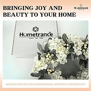 Hometrance 18-20 Inch Cream Hydrangea Front Door Wreath, Summer Fall Wreath with Ivy, Eucalyptus & Hydrangea Leaves, Farmhouse Wreath All Seasons Year Round, Flower Wreath for Wedding Home Decoration