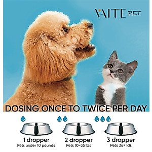 Hip & Joint Glucosamine Drops for Pets - Advanced Formula with Glucosamine, Chondroitin & MSM - Enhances Mobility Support - Natural Pain Relief for Dogs and Cats - Anxiety Supplement for Senior Pets