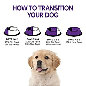 Wellness Complete Health Large Breed Dry Dog Puppy Food with Grains, Natural Ingredients, Made in USA with Real Meat (Puppy, Chicken, Salmon & Rice, 30-Pound Bag)