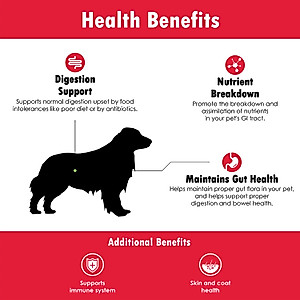 Proflora Probiotics for Dogs-Complete Gut Health & Immune Support. Easy to Use Digestive Multi-Strain Probiotics. Easier Diet Transitions, Healthier Skin & Coat & Helps Treat Diarrhea. 60 Soft Chews