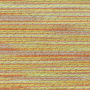 (1 Skein) Lion Brand Yarn 512-312 Summer Nights Bonus Bundle Yarn, Sunset