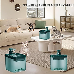 SmartTail Cat Water Fountain,Pet Water Fountain for Cats Indoor Battery Operated,74oz/2.2L Automatic Dog Water Dispenser with a Filter,Water Level Window,BPA-Free, Green