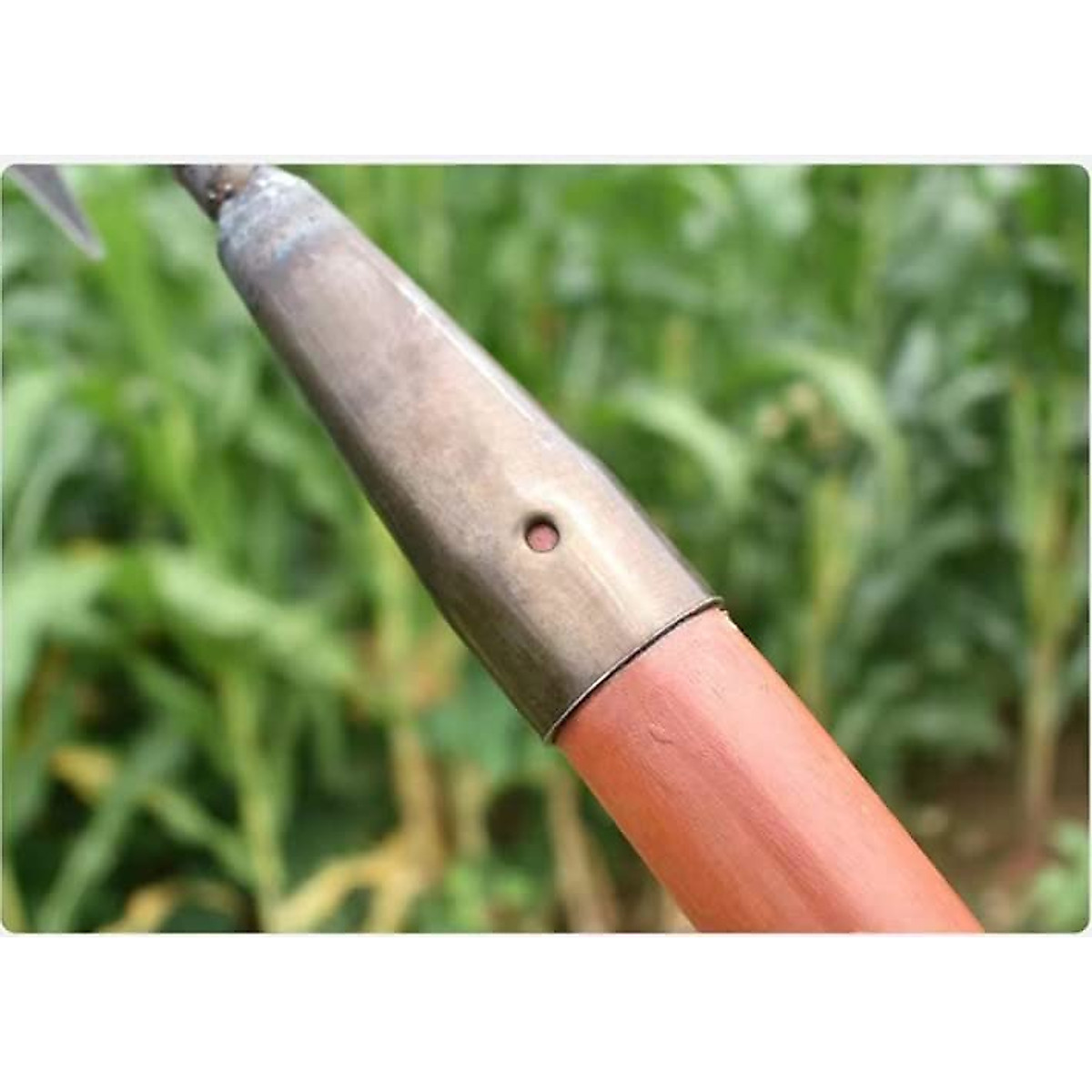 KeluKES Hoe weed rake farm tool hoe weed hoe root digging the ground loose soil nail rake farm tool thick and sharp(Six-tooth rake)