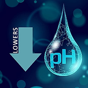 Puri Tech Spa pH Down 6 Pack Lowers pH and Total Alkalinity Increasing Sanitizer Effectiveness in Spa Water 1.5lbs