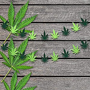 2 Pieces Pot Leaves Felt Banners Pot Leaf Weed Shaped Banners Green Weed Leaves Banner Decorations for Party Home Supplies