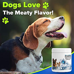Bullyade Natural Dog Supplement with 18 Vitamins & Minerals. Mixes with Water or Food. (Beef)