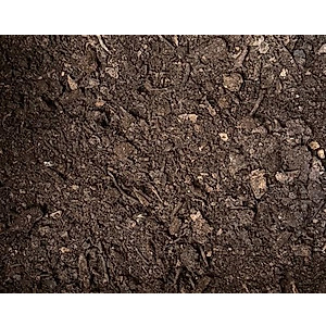 2.5 Quarts Natural Oak Leaf Mold for Acid Loving Plant, Cactus & Succulent, Bonsai Tree Soil Mix - Organic Additive