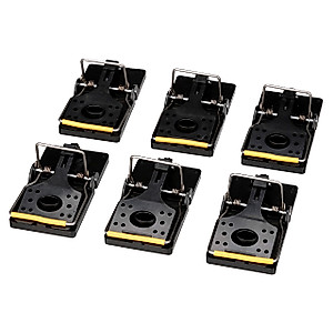 Grandpa Gus's Pest Control Large Snap Traps for Mice/Rats, Durable Plastic, Stainless Steel Powerful Spring Arm & Very Sensitive Trigger (Pack of 6)