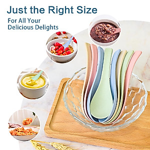 8 Pcs Plastic Spoon Dinner Spoons, Lnrkai Portable Reusable Soup Spoon Reusable Multicolor Lightweight Durable Spoon Dishwasher & Microwave Safe for Gift Set (8PCS)