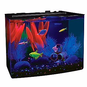 GloFish Aquarium Fish Tank Kits, Includes Fish Tank Decorations and LED Lighting, Tetra Filter and Water Conditioner 5-gallon crescent kit