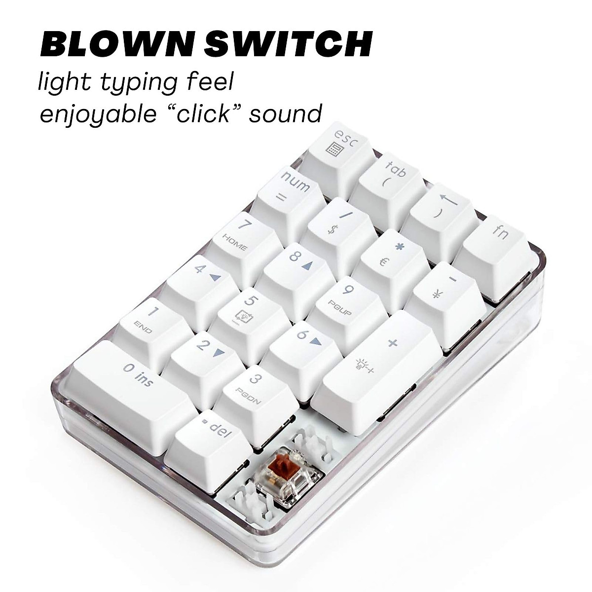 Magicforce Mechanical Numpad 21-Key Wired Number Pad for Laptop with Blue LED Backlit USB Number Pad for Laptop Desktop Computer PC (Brown Switch)