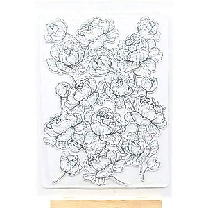 Welcome to Joyful Home 2pc/Set Different Flower Background Clear Stamp for Card Making Decoration and Scrapbooking 11x16cm