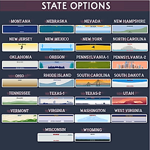 Custom Street Signs with Text & Icon - 30 Icons, 50 States - Personalized Florida Metal Street Sign, 2 Sizes, 13X4" or 18X4" - UV Protected Aluminum Signs with Florida Themed Background