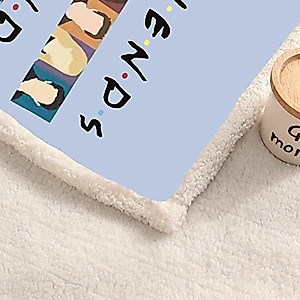 LOVINSUNSHINE Friends Tv Show Sherpa Blanket The Office Gifts for Women Tv Show Blankets Friends Tv Show Blanket Friends Tv Show Merchandise Blanket Throw Friends TV Show Gift Blanket 60x80