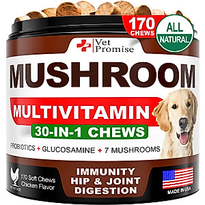 Mushroom for Dogs - 170 Chews - Turkey Tail Mushroom for Dogs - Mushroom Supplement for Dogs - Lions Mane - Reishi - Immunity Support Multivitamin - Joint Health - Energy - Gut - Skin - Dog Vitamins