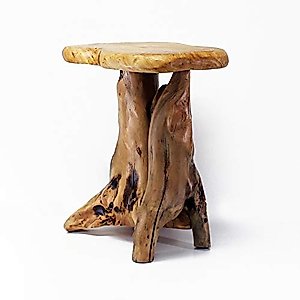 WELLAND Tree Stump Side Table, Live Edge Stool, Natural Edge Wood Side Table, Accent Table, 19" Tall