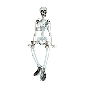36” Halloween Skeleton Full Body Life Like Skeleton Model with Movable Joints for Halloween Decoration