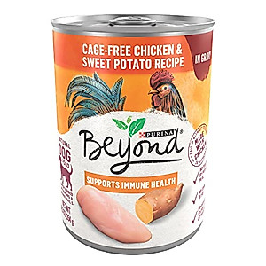 Purina Beyond Chicken and Sweet Potato in Gravy Grain Free Wet Dog Food - (12) 12.5 oz. Cans