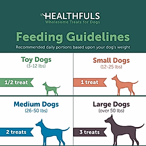 Healthfuls Sweet Potato Slices Dog Treats, 16oz