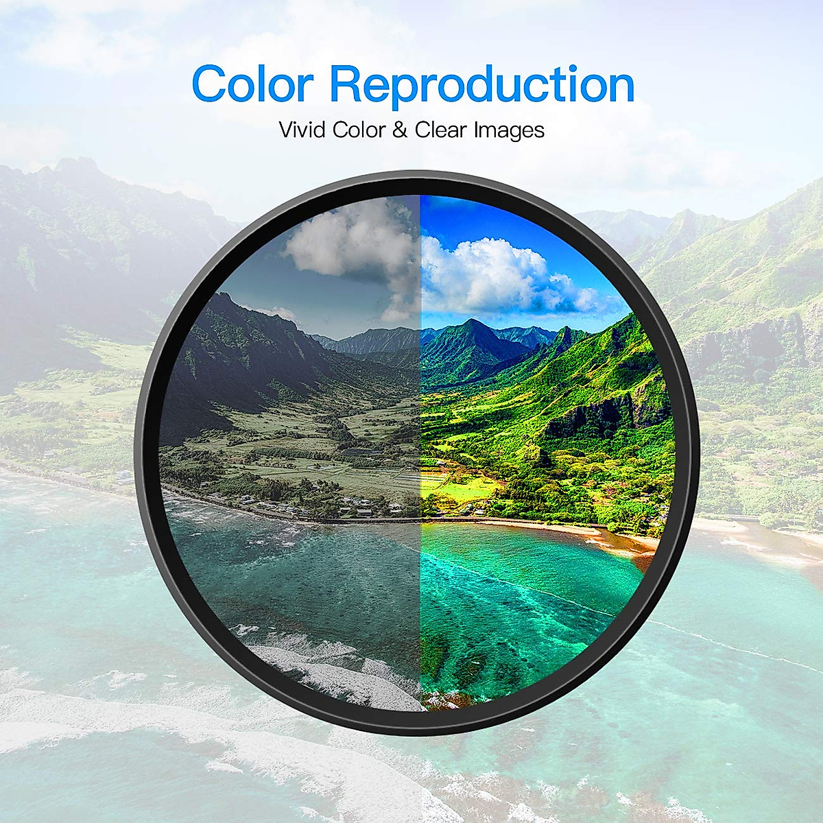 LxTek Compatible Toner Cartridge Replacement for Dell 1250 810WH C5GC3 XMX5D WM2JC to use with 1250c C1760nw C1765nfw C1765nf 1350cnw 1355cn 1355cnw Printer (Black Cyan Magenta Yellow, 4-Pack)