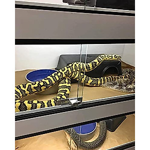 SDZGQPET Amypet Different Size Reptile Use Hide Cave for Snakes,Reptiles, Ball Pythons Durable Material Easy to Clean 10.2 x7.48 x 2.75inch (L)