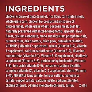 Purina ONE Chicken and Rice Formula Dry Dog Food - 31.1 lb. Bag