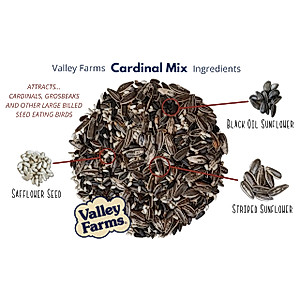 Valley Farms Cardinal Mix Wild Bird Food for Outside Feeders, Cardinal Bird Seed with Black Oil Sunflower Seeds and Safflower Seeds, Attract a Variety of Wild Birds (10 LBS)