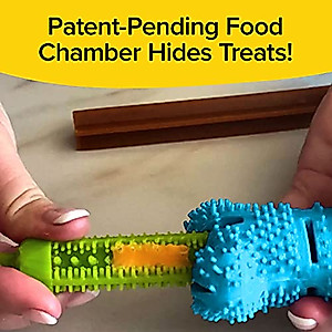 BulbHead BrushBone Toothbrush, Dogs Chewing, Plaque and Tartar Remover for Teeth, Works 3 Ways to Clean While They Play, Invented by a Dentist & His Hygienist Wife, 1 Count (Pack of 1), Brush Bone